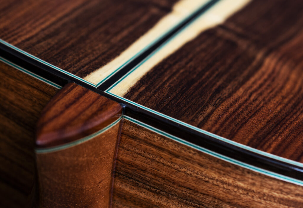 Manuel Adalid Artista Membrane - Guitar Salon Belgrade